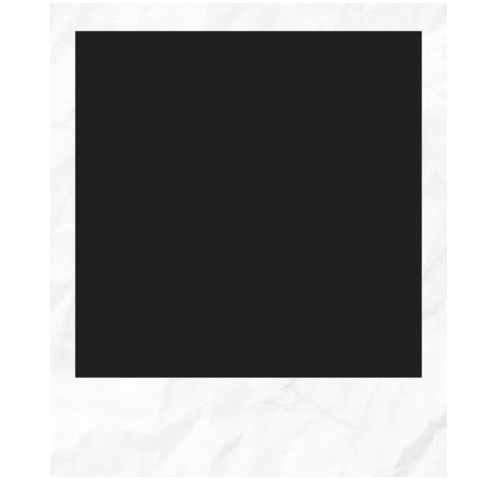 Weekly Sales Copycatchic GIFs - Find & Share on GIPHY