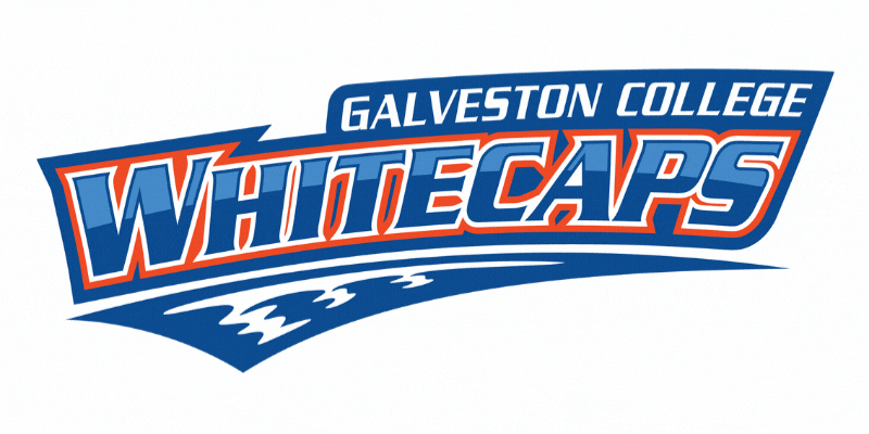 Baseball Softball GIF by Galveston College - Find & Share on GIPHY