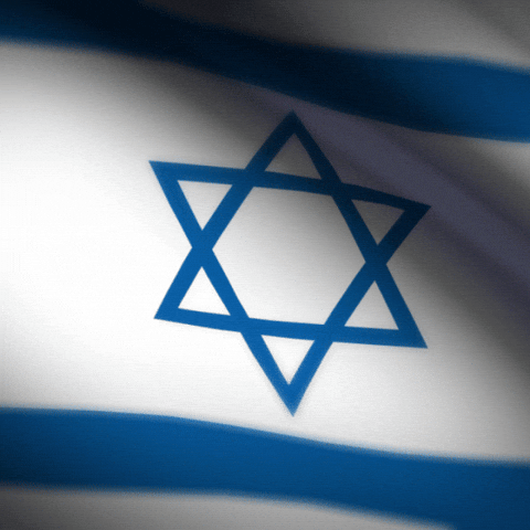 Support Israel GIFs - Find & Share on GIPHY