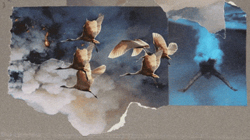 Ice Age Bird GIF by STORKS