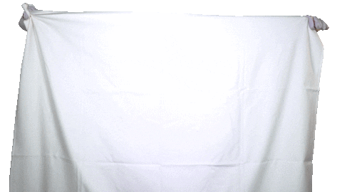 Zu Null GIFs - Find & Share on GIPHY