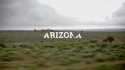 Williams Arizona GIFs - Find & Share on GIPHY