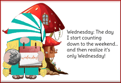 Days Of The Week Wednesday GIF - Find & Share on GIPHY