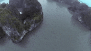 Rowley GIFs - Find & Share on GIPHY