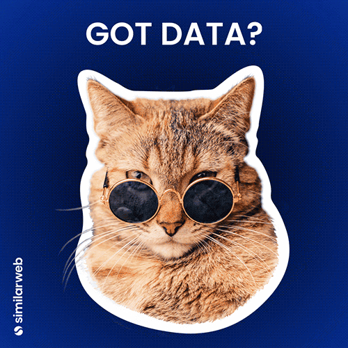 Cat Sunglasses S Find And Share On Giphy