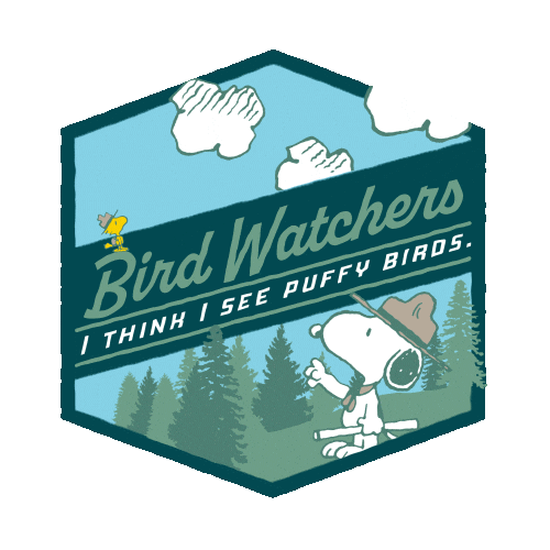 Bird Watchers Stickers - Find & Share on GIPHY