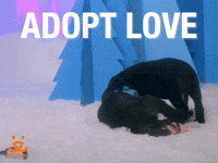 Adopt Love GIFs - Find & Share on GIPHY
