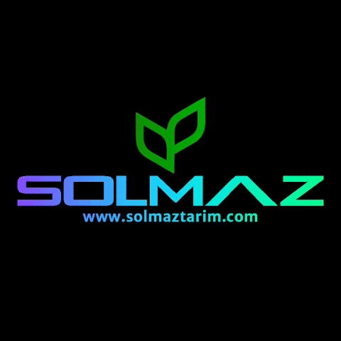 Dmr Tarim GIFs - Find & Share on GIPHY