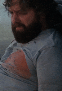 Alan The Hangover GIFs - Find & Share on GIPHY