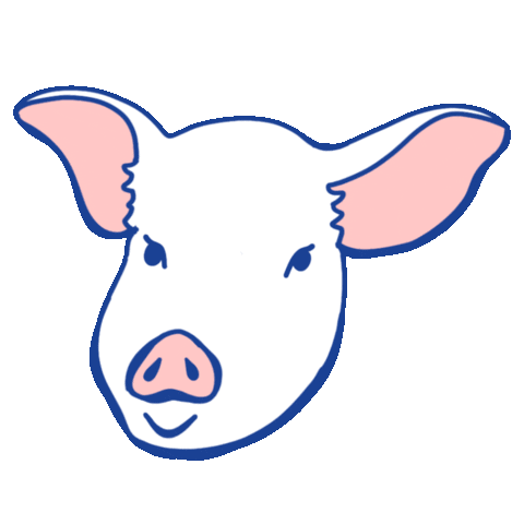 Lipstick Pig Stickers - Find & Share on GIPHY