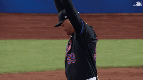 Baseball Mlb GIF by New York Mets