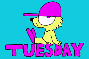 Tuesday Funny Clips - Find & Share on GIPHY
