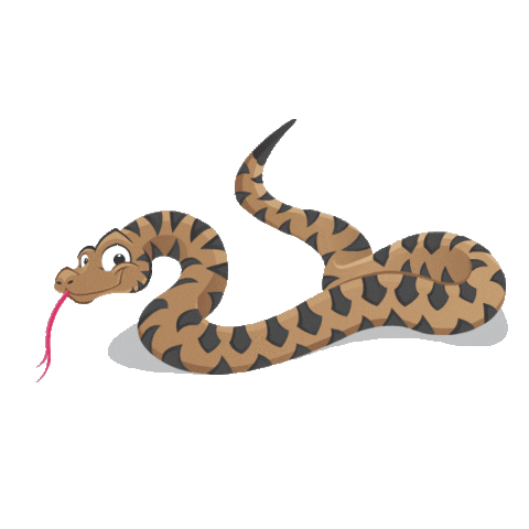 Carpet Python Stickers - Find & Share on GIPHY
