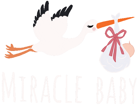 Pregnancy Stork Sticker - Find & Share on GIPHY