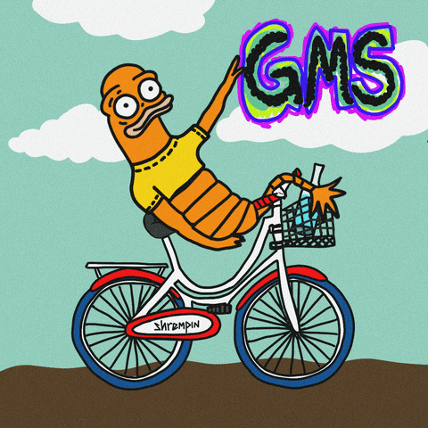 Beach Cruiser Bike GIFs - Find & Share on GIPHY