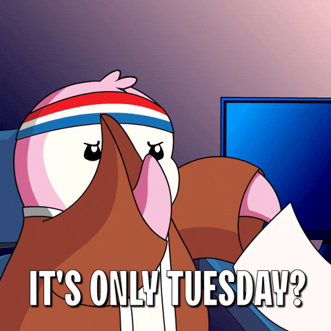 Frustrated Tuesday Morning GIF by Pudgy Penguins - Find & Share on GIPHY