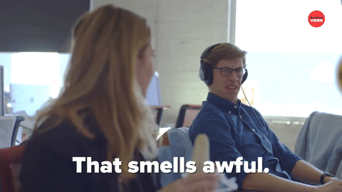 Smell Cheese Clips - Find & Share on GIPHY