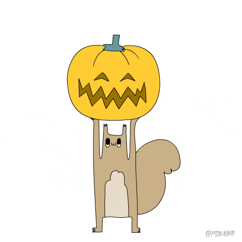 Jack O Lantern Halloween GIF by Animation Domination High-Def - Find ...