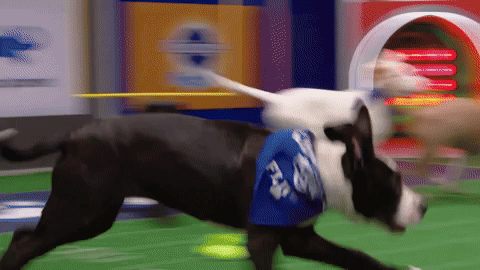 Hit Planets Clips - Find & Share on GIPHY