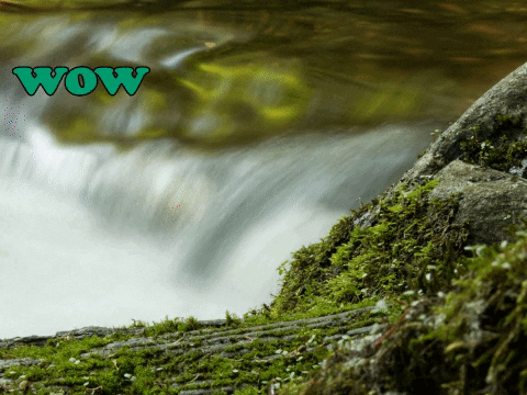 Time-to-flow GIFs - Get the best GIF on GIPHY