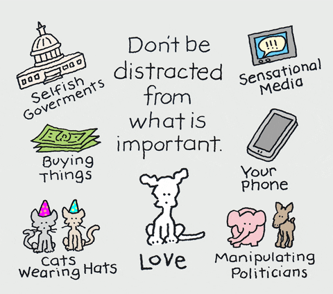 Politician Cat GIFs - Find & Share on GIPHY