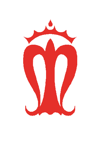 Fisioterapia Enfermeria Sticker by Salus Infirmorum - Find & Share on GIPHY