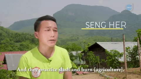 laos yseali GIF - Find & Share on GIPHY