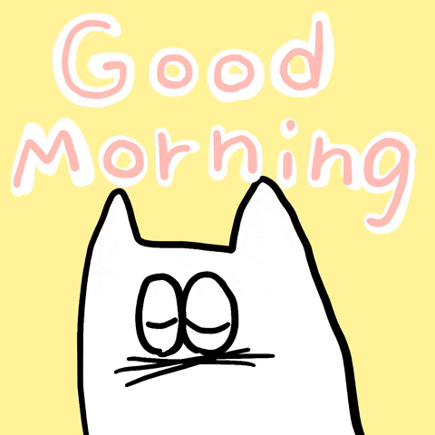 White Cat GIF by Gunmaunofficial - Find & Share on GIPHY