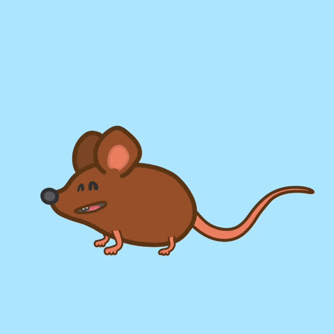 Dancing Mouse GIFs - Find & Share on GIPHY