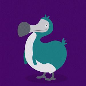 Dodo Code GIFs - Find & Share on GIPHY