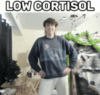 Low Cortisol Dance GIFs - Find & Share on GIPHY