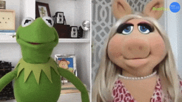 Kermit The Frog Relax GIF by Muppet Wiki