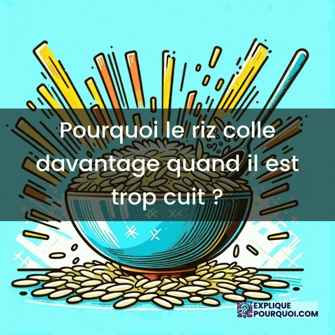 Riz Collant GIFs - Find & Share on GIPHY