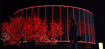david cronenberg GIF by Maudit