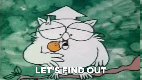 Lets-find-out GIFs - Find & Share on GIPHY