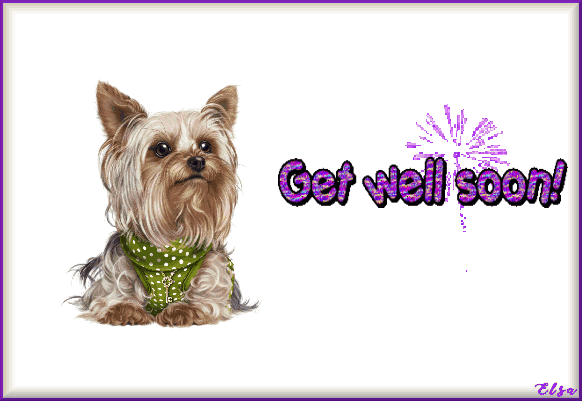 Get Well Soon Animated Card GIF - Find & Share on GIPHY