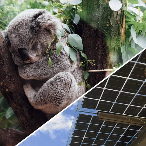 Innovation Partnerships GIFs - Find & Share on GIPHY