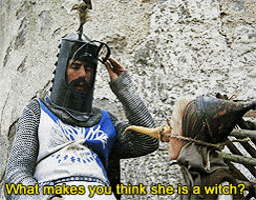 Monty Python Witch gifs - Find & Share on GIPHY