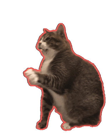 Cat Sticker for iOS & Android | GIPHY