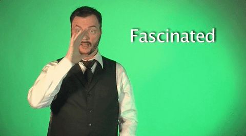 GIF by Sign with Robert