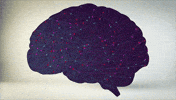 Jimmy Neutron Brain Blast GIFs - Find & Share on GIPHY