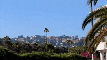 I Love La Los Angeles GIF by vhspositive