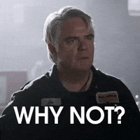 Why Not GIFs - Find & Share on GIPHY