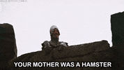 Monty Python Memes GIFs - Find & Share on GIPHY