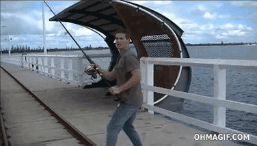 Spinning Fish GIFs - Get the best GIF on GIPHY