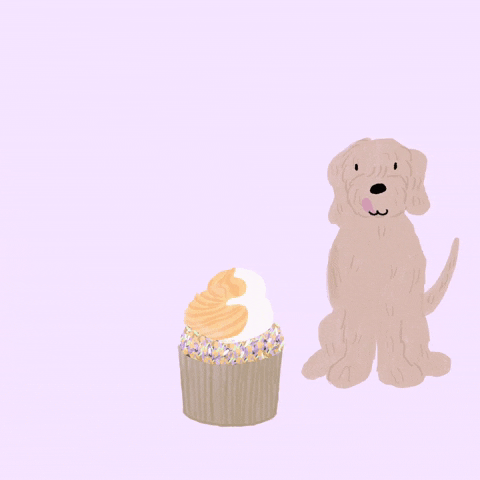 Dog Birthday Cake GIFs - Find & Share on GIPHY