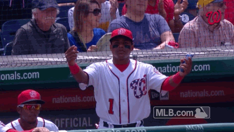 4 NL Wildcard Game GIFs! by Sports GIFs | GIPHY