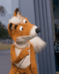 Was Sagt Der Fuchs Gif Kleiner Fuchs GIFs Find & Share On GIPHY
