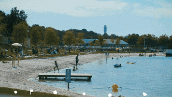 Fun Beach GIFs on GIPHY - Be Animated