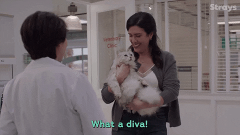 Strays GIFs - Get the best GIF on GIPHY